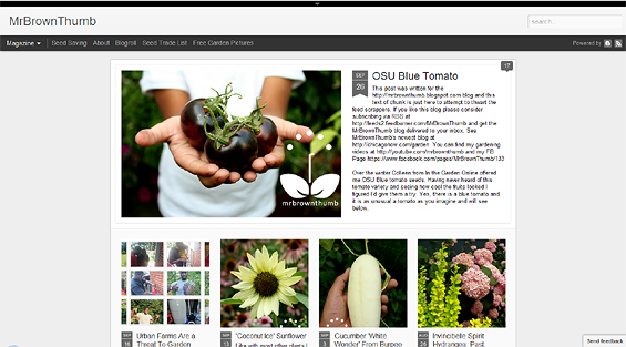 My Web Blogger Tricks: How Enable Blogger Dynamic Views?