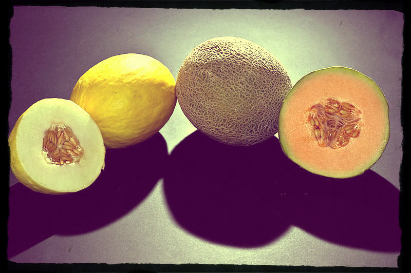 Novel Adventurers: The Sweetest Melons: Memories of the Congo