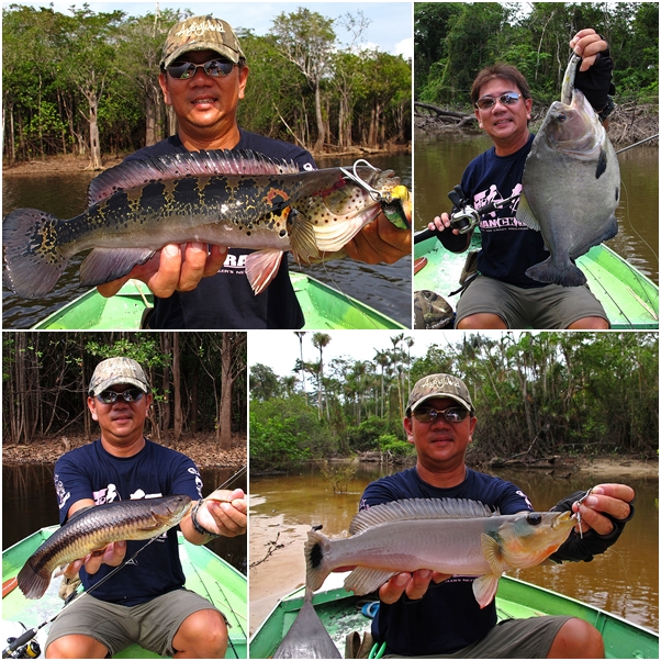 ANGLING WORLD 魔魚釣界: Adventure Fishing @ Amazonia Rio Negro