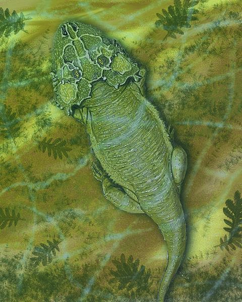 Top 5 animales más asombrosos extintos del ártico | Bianimal