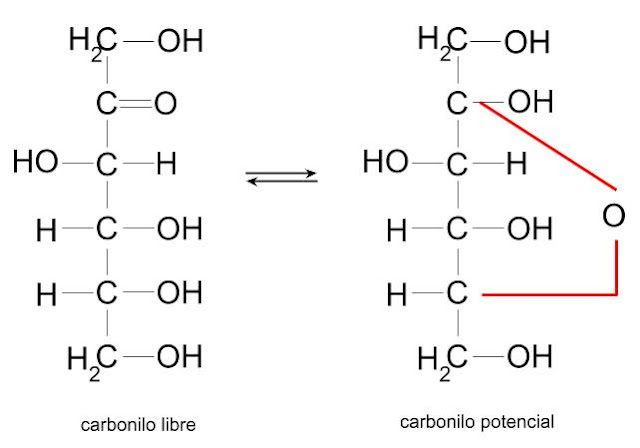 Química Sexto: Poder reductor
