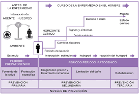 El Blog del Epidemiologo: IDENTIFICACIÓN DE LA HISTORIA NATURAL DE LA ...