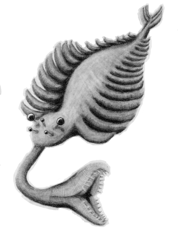 Sounder Art: Opabinia regalis