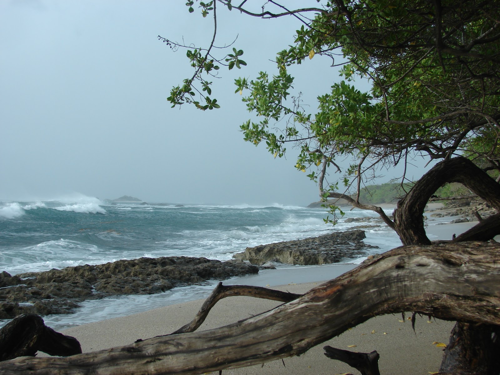 Paisajismo, pueblos y jardines: Tierra húmeda