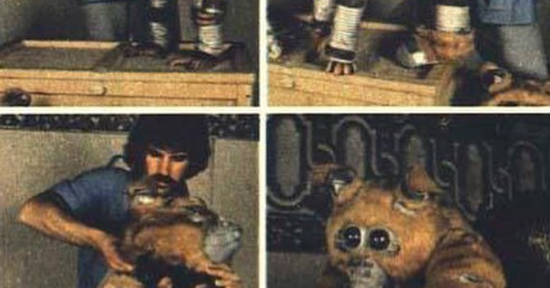 Calvin's Canadian Cave of Coolness: Muffet Was A Monkey??