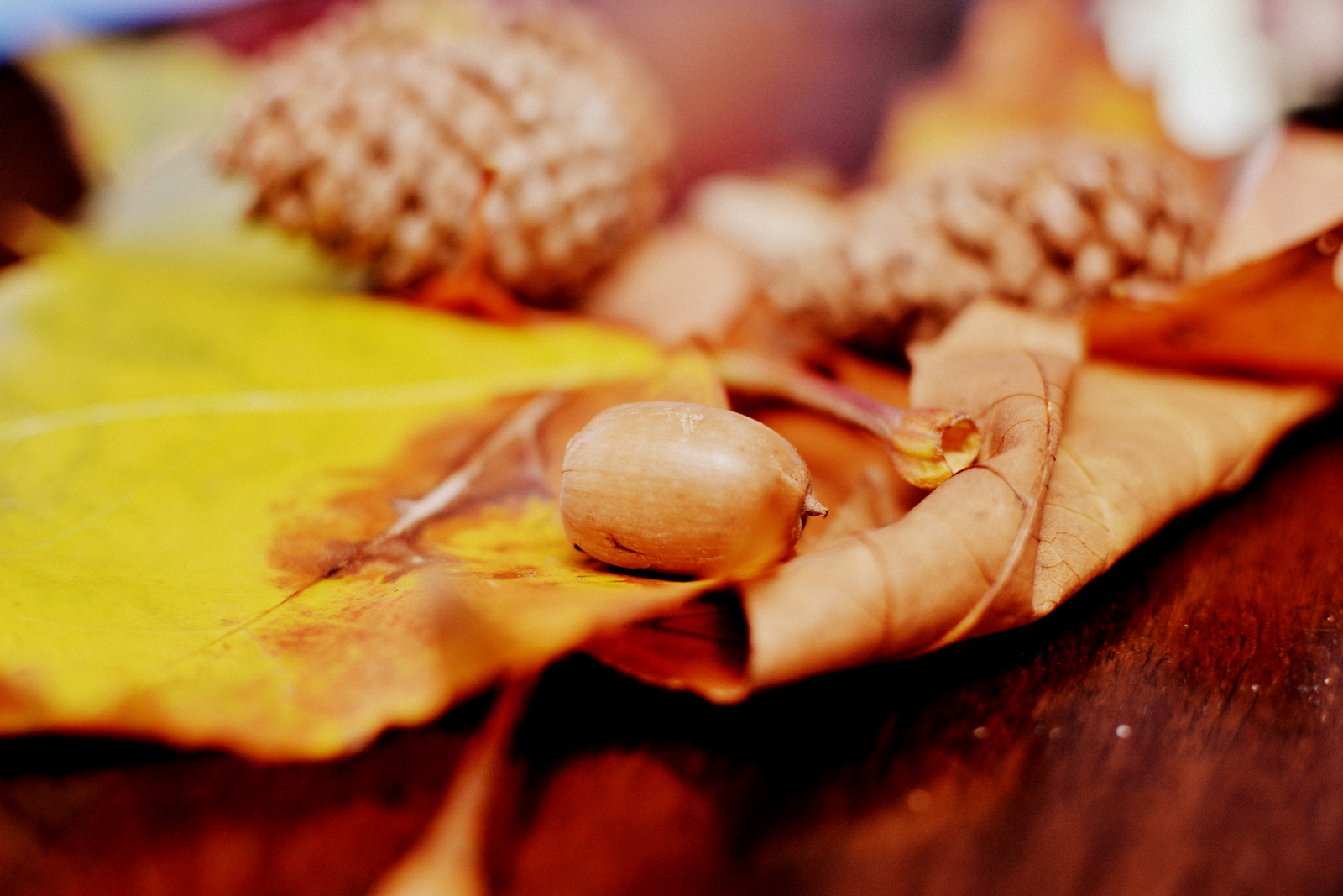 Things I'm loving 27.4.12 | the adventures of MNMs