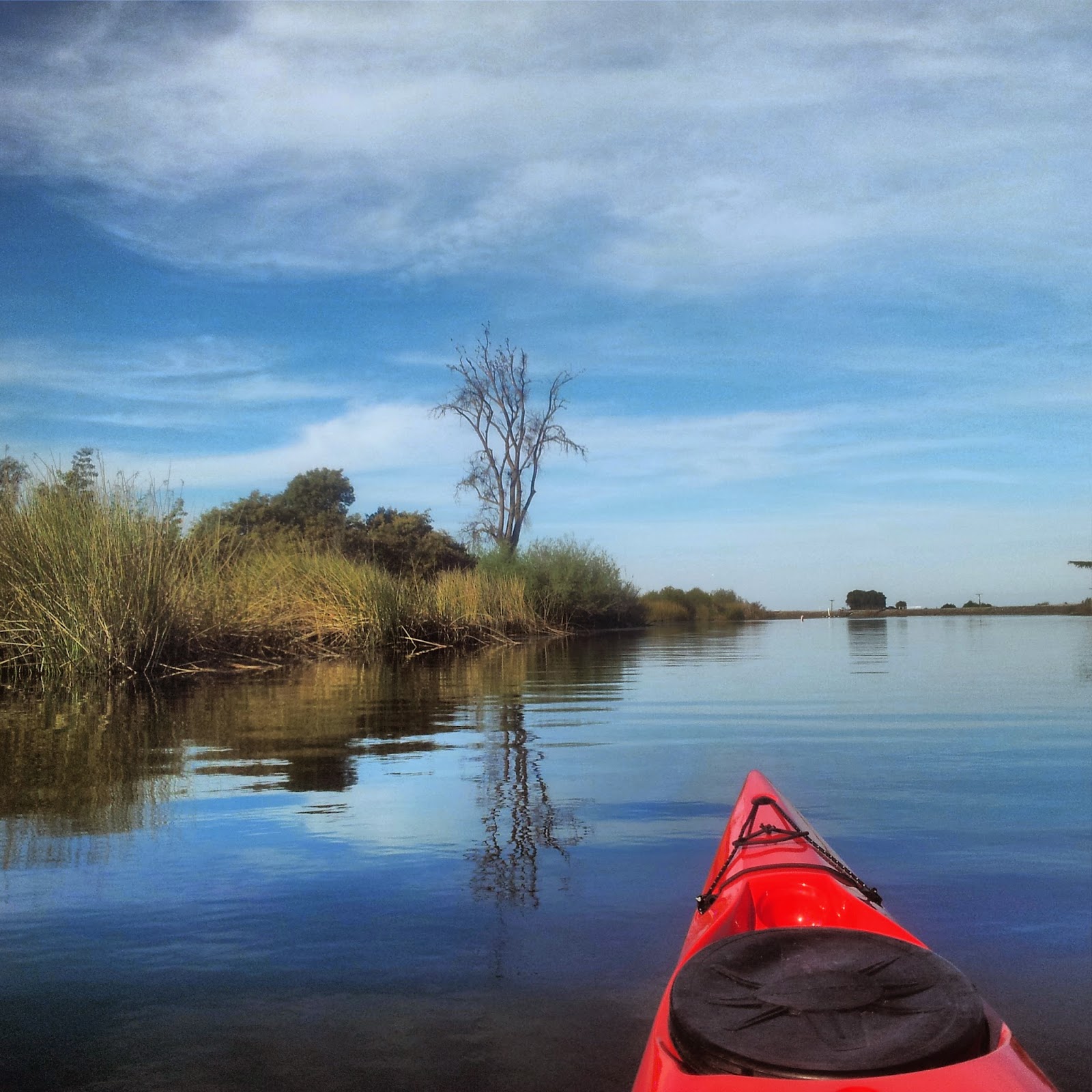 Kayaking the California Delta: Lost Isle, Spud and Hog Island