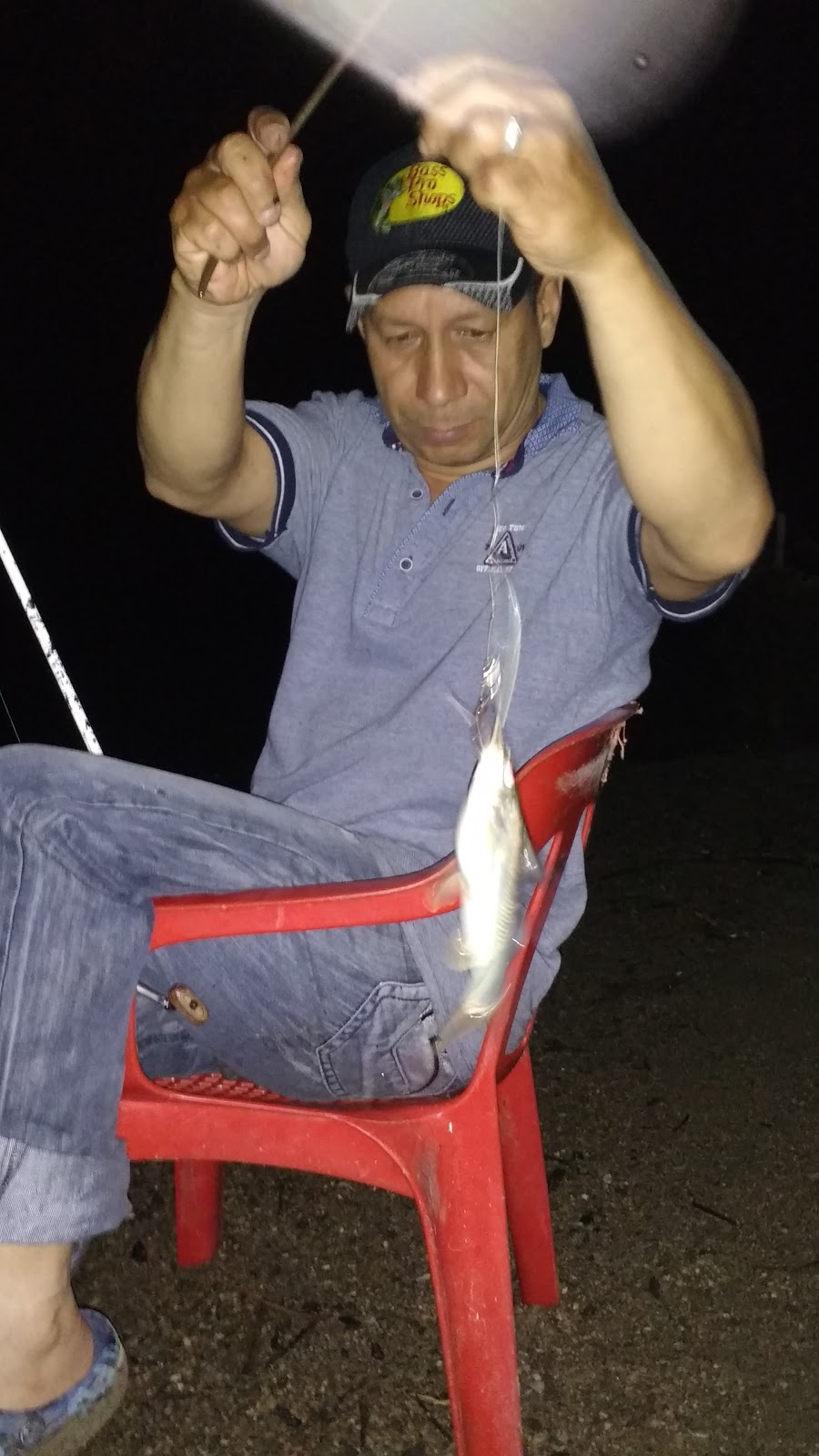 Espacio de Pesca: Pesca de nicuro en Estacion Cocorna, Puerto Triunfo ...