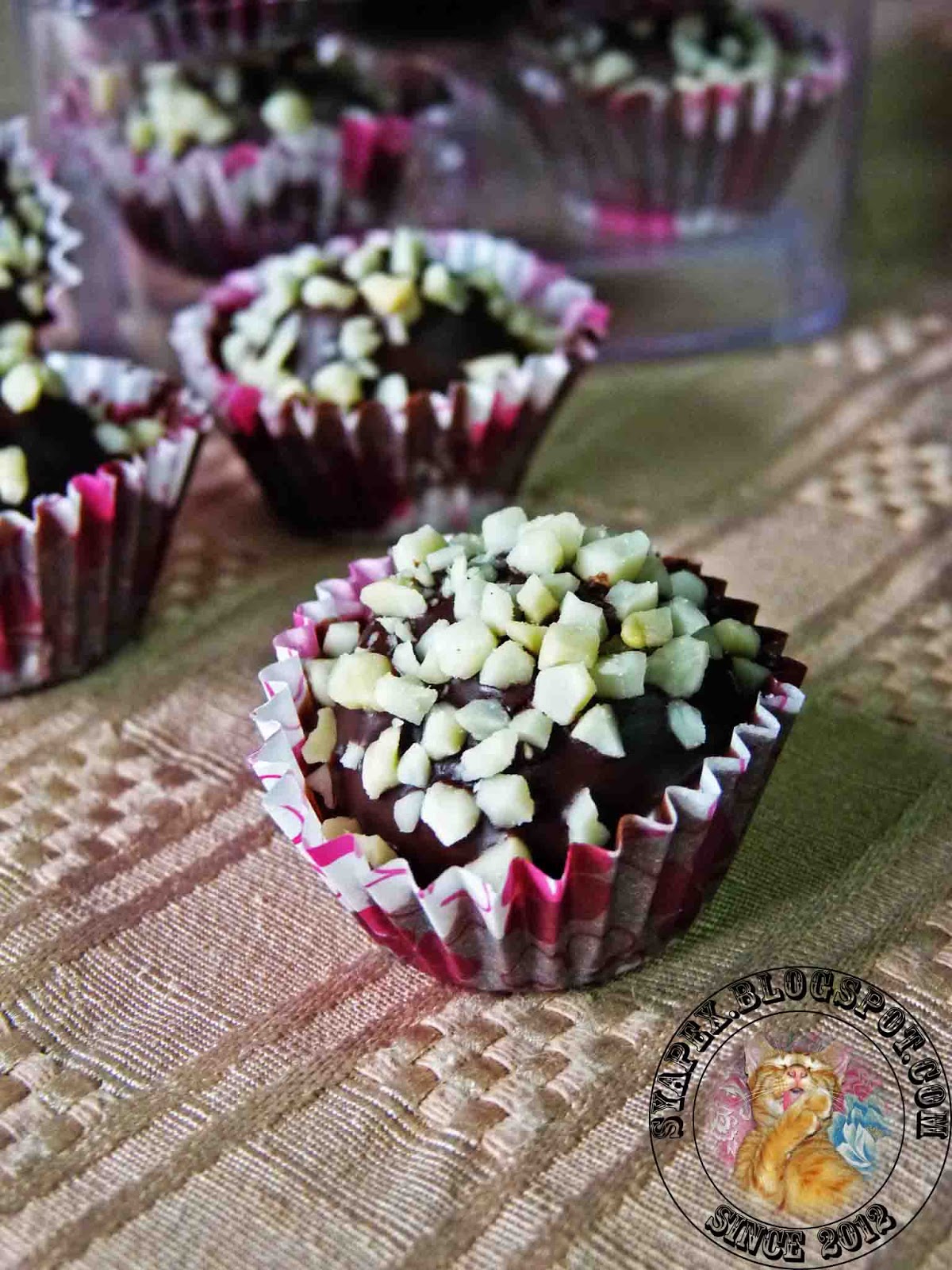 syapex kitchen: Biskut Truffle Chocolate Cookies / Biskut Denmark