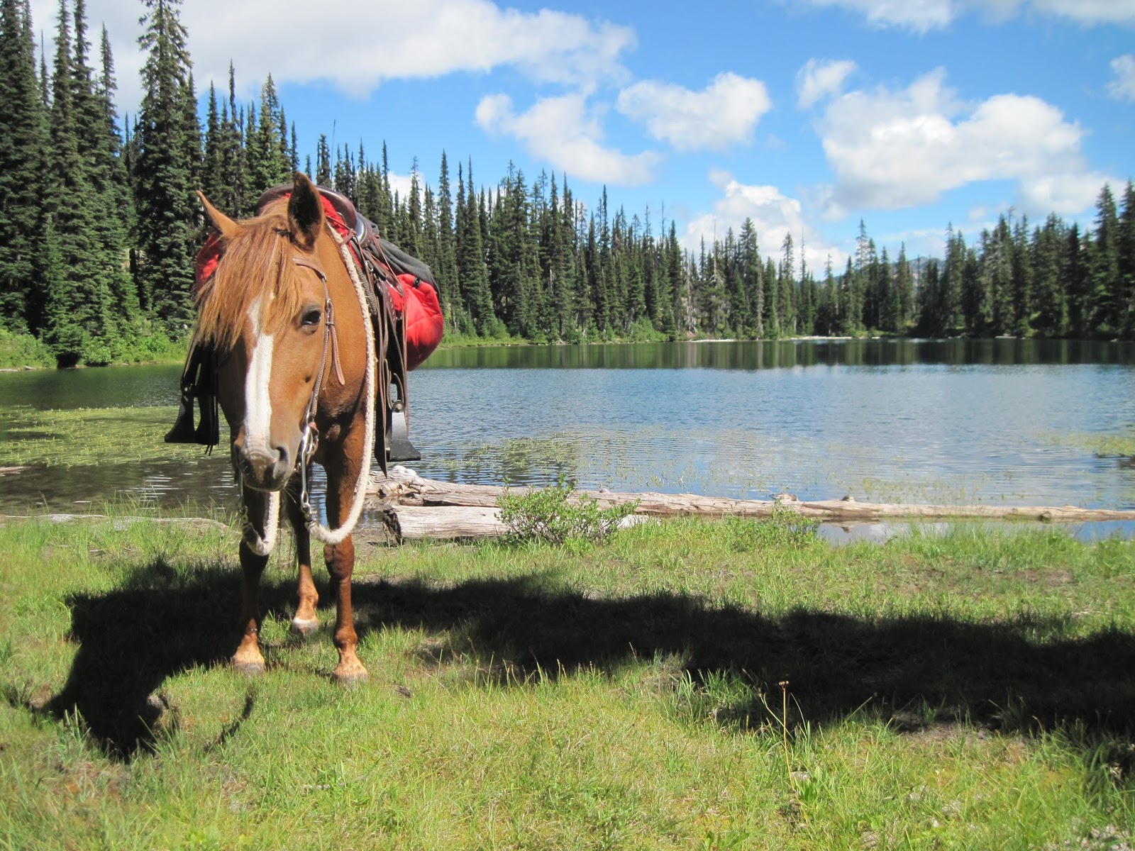 Holly's Horse Tales and Trails: Cayuse Horse Camp, Tucquala Meadows ...