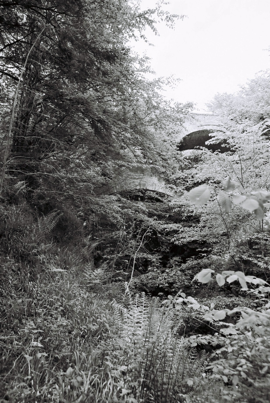 The Happy Pontist: Scottish Bridges: 17. Craigmin Bridge