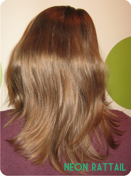 DIY Lemon Juice Hair Lightener | Neon Rattail