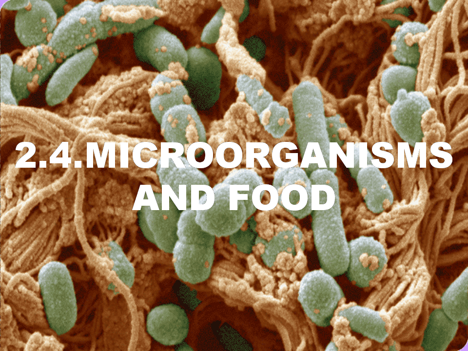 Science7: Semester 1, Chapter 2 - Cells and organisms