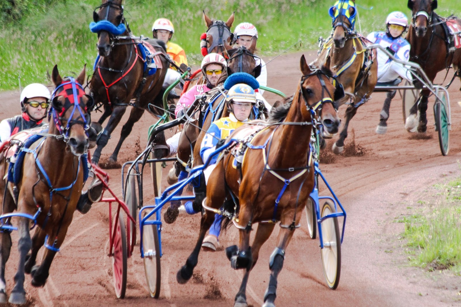 Harness Racing in the UK: 2017 Season: Week 8 - SHRC 3YO Derby