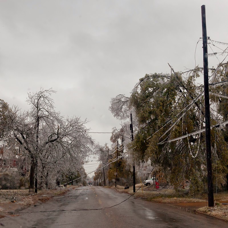 Stretching my comfort zone: Aftermath of the ice storm in Paris, Lamar ...
