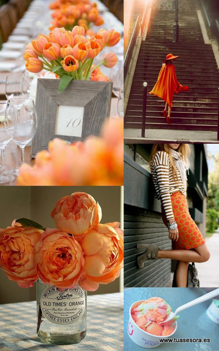 El significado del color (Part.VI)