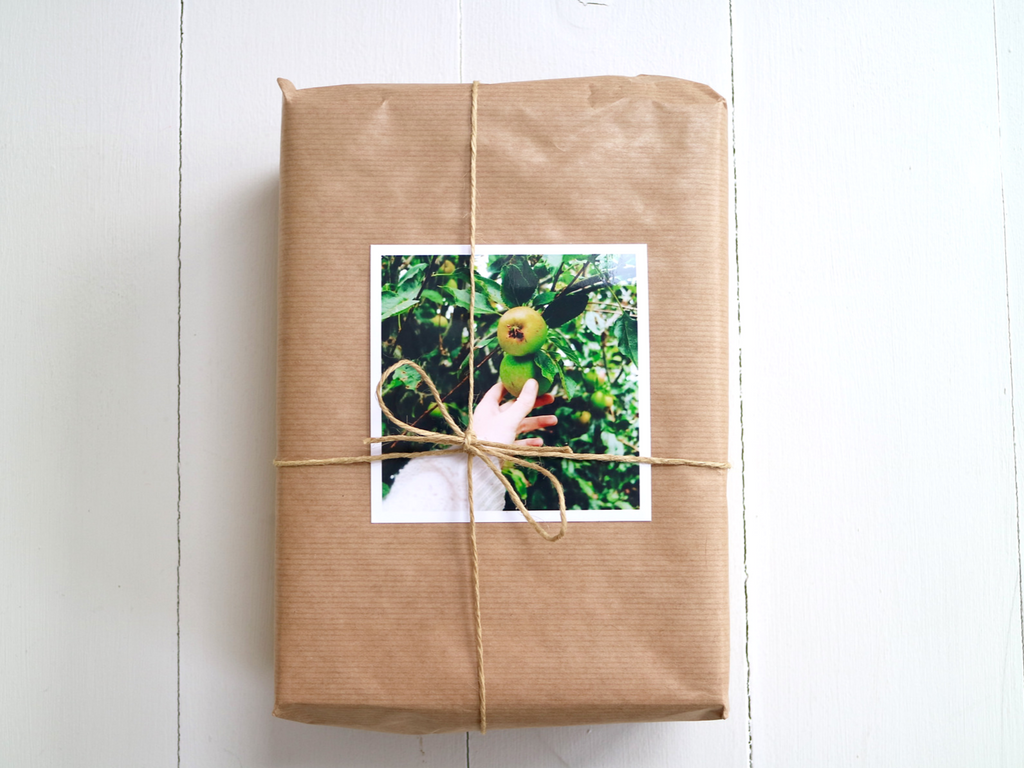 4 Brown Paper Gift-Wrap Ideas | The Freckled Fieldnotes