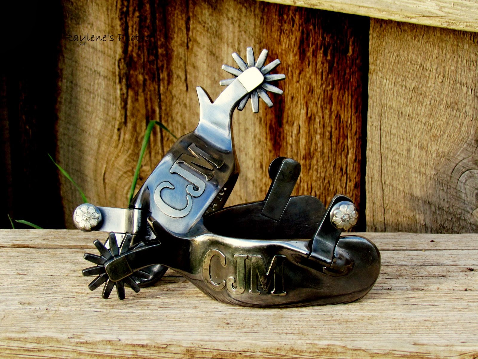 Cowboy Custom Spurs: June 2013