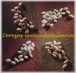 zerezas-otrasformasdecocinar: Propiedades de las Alubias-Variedades y ...