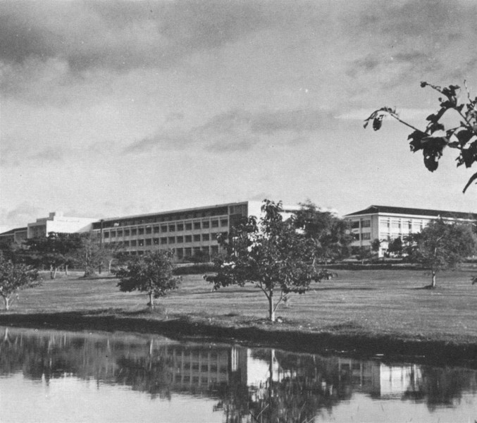 Bottled ※ Brain: The Palma Hall that was