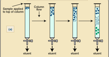 Bio-Resource: Factors affecting efficiency of Column Chromatography
