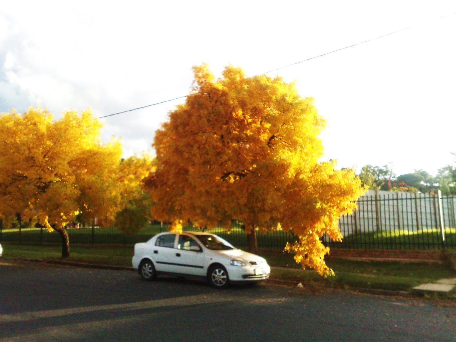 Paul Roux Village: Paul Roux Forum - Chairman's Autumn Message June 2013