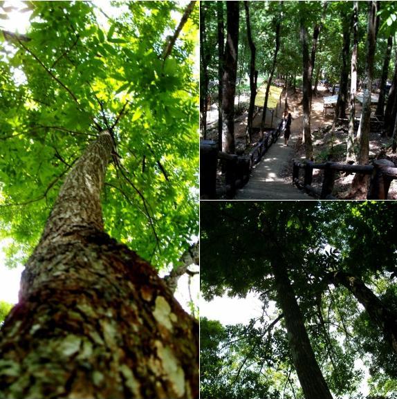 Gift of Quills: I've been to Suhot Cave in Dumalag