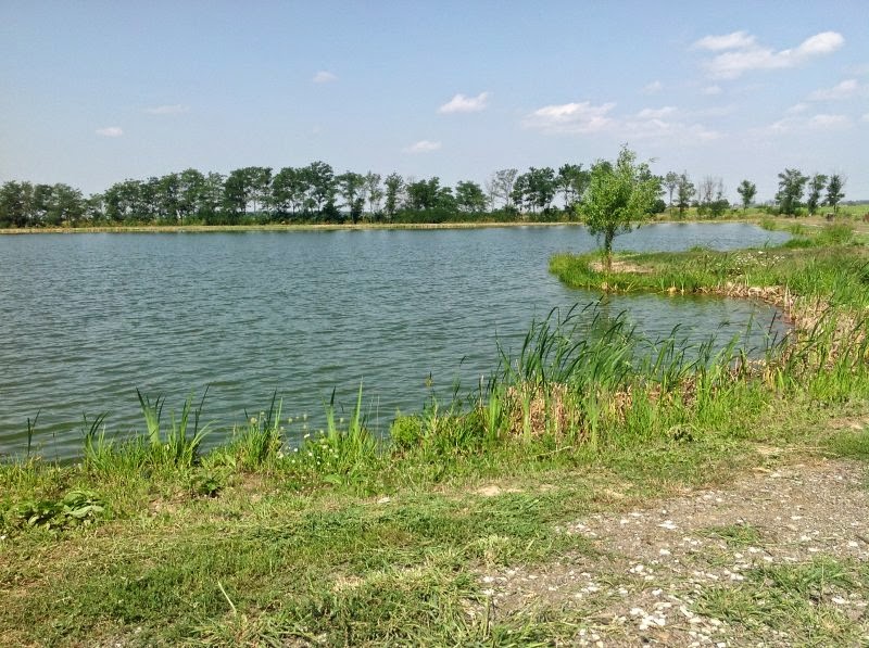 Pasiunea Pescuitului: Balta Pescaria Balta Blonda