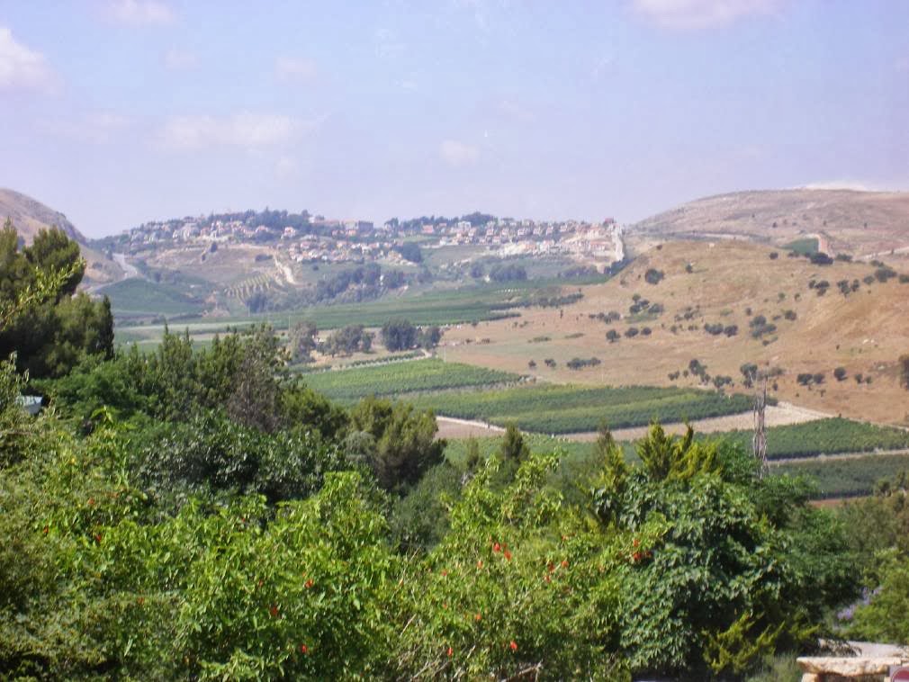 الجــــولان AL JAWLAN