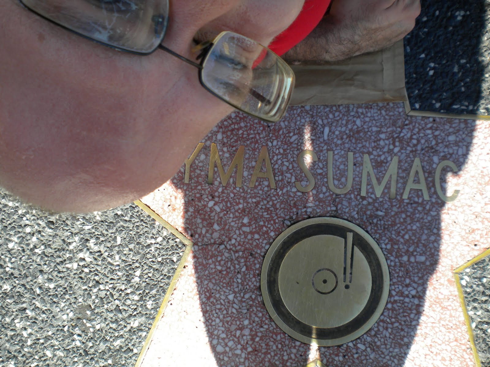 Behr Blather: Bear Searches for the Famous