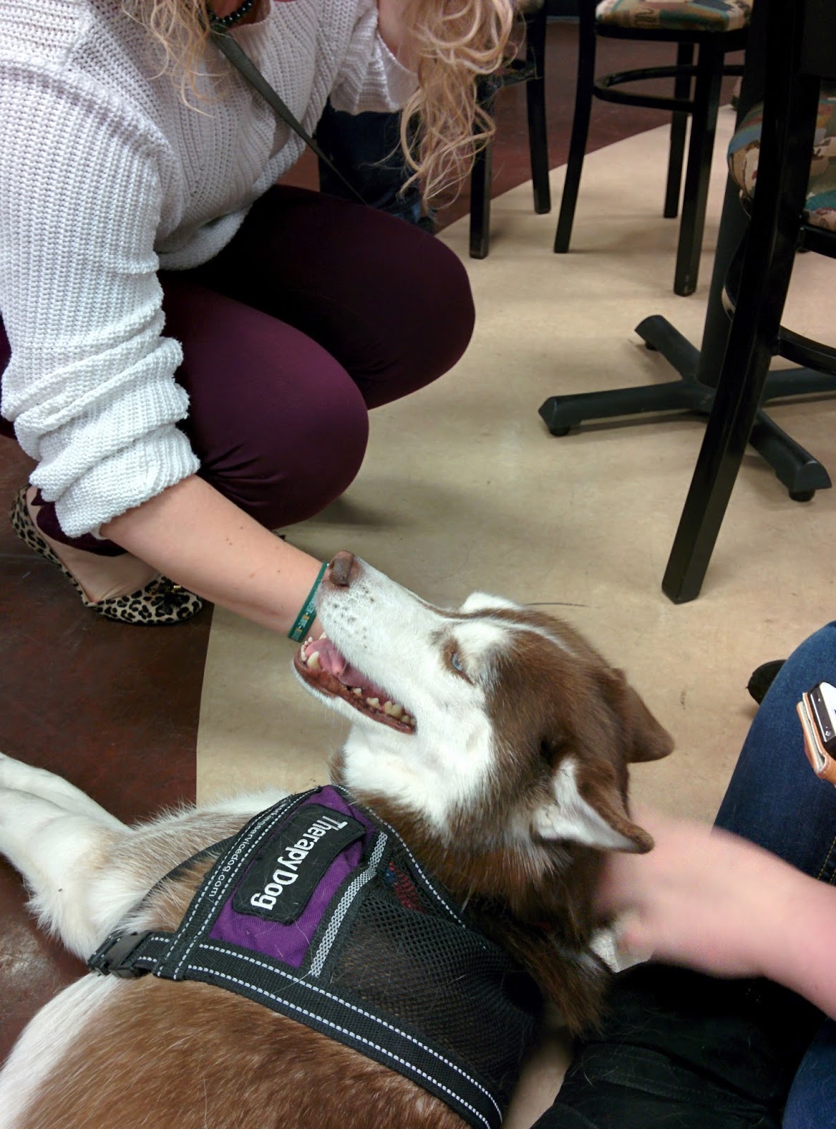Dogs Luv Us and We Luv Them: Therapy Dog Stress Buster