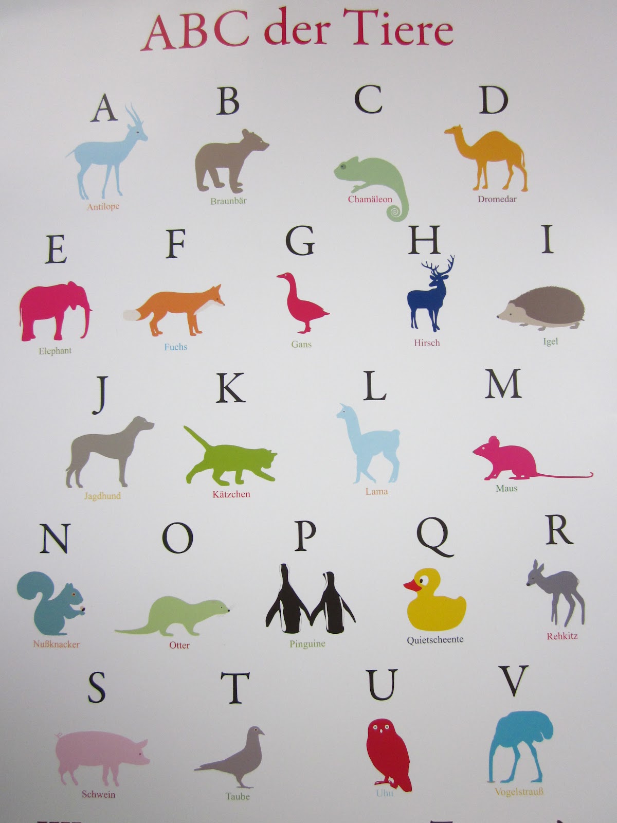 Der AuGenBliCk: Tier ABC