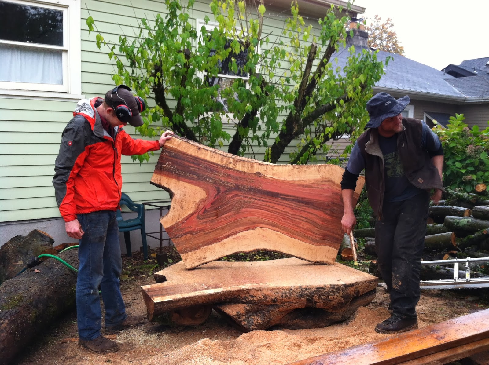 Five Fifths Furniture: The largest Apple tree in the world meets its match