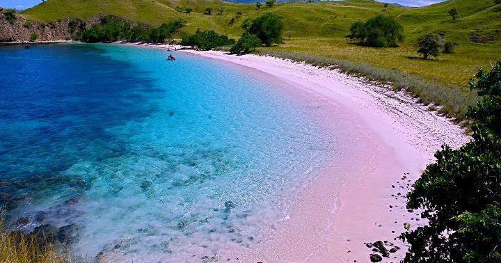 Pink Beach NTT Travelling In Indonesia | Traveling In Indonesia