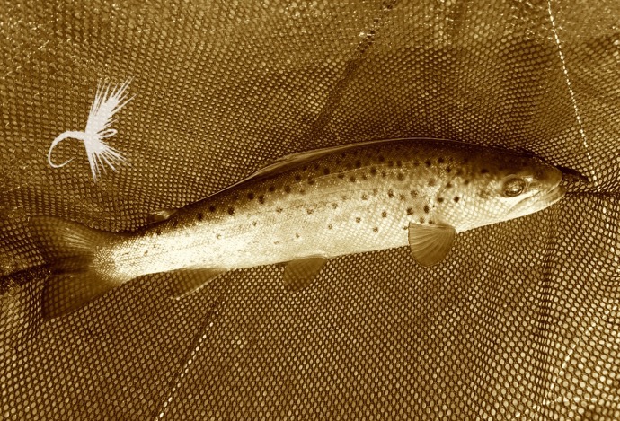 TENKARA ENSO: First fishing outing of the season