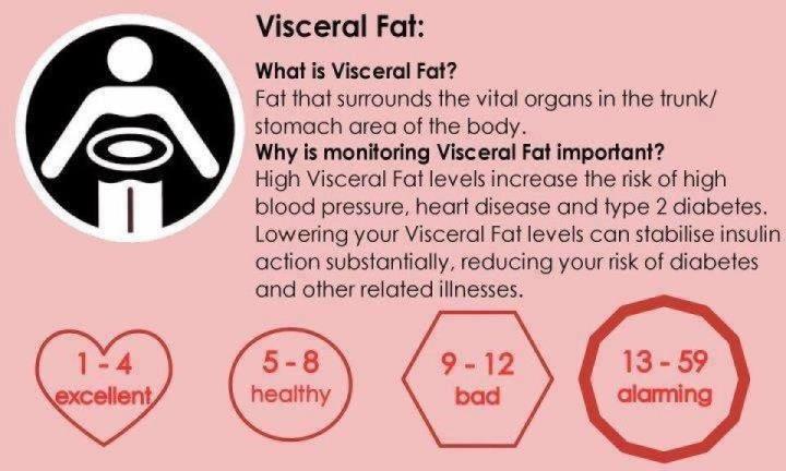 Seindah Mimpiku: Visceral Fat : Perjalanan Yang Jauh Tapi In Shaa Allah