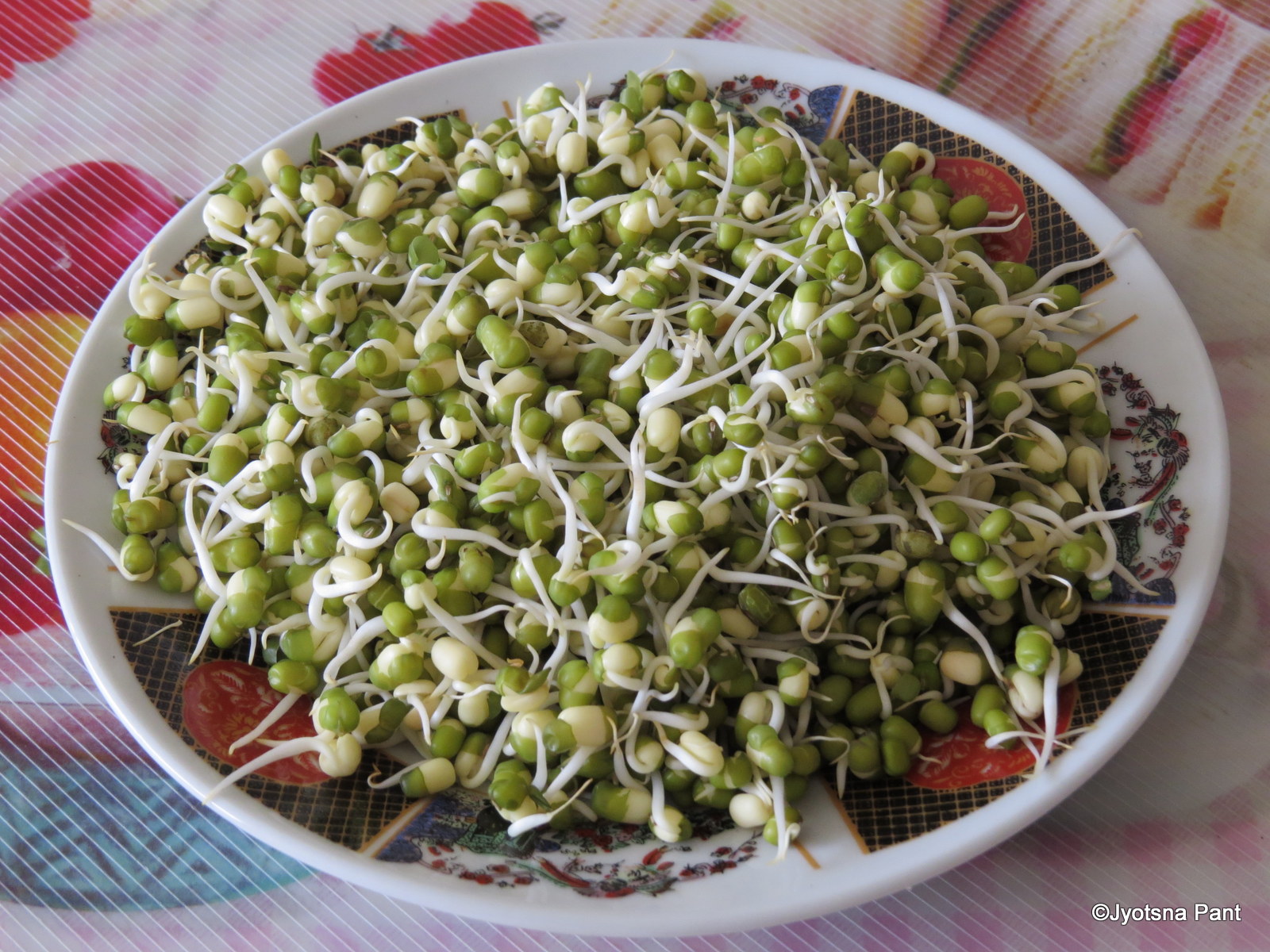 With Love from Mom's Kitchen: How to Make Good Sprouts From Whole Green ...