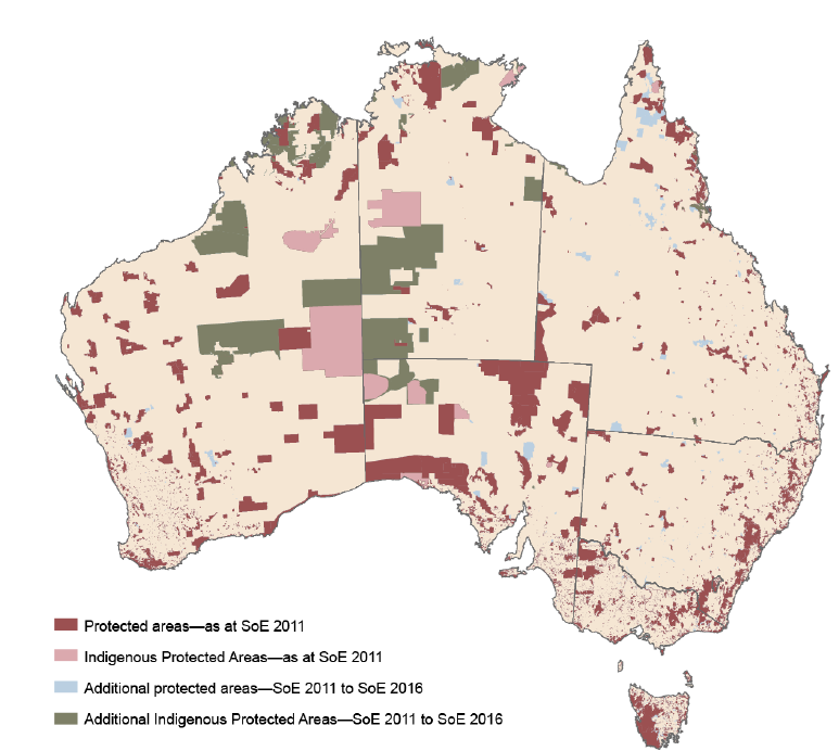 Beating around the bush