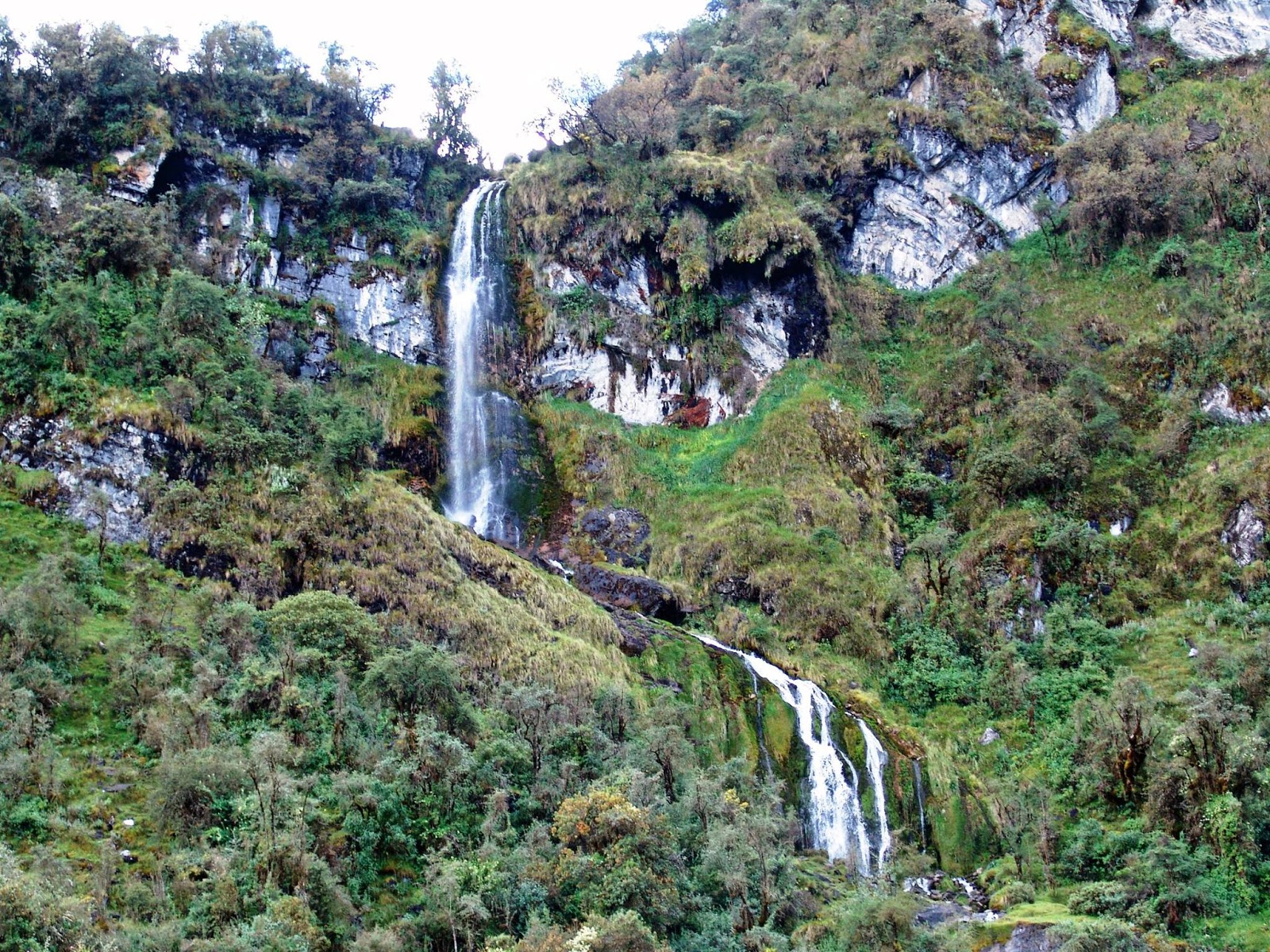 TURBOBAR APURIMAC: SANTUARIO NACIONAL AMPAY (1987 -2017) - 10