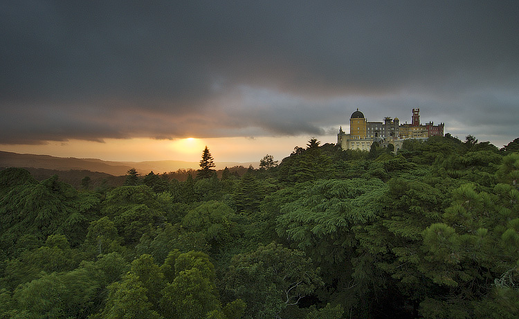 Blog de Natureza de Tiago Andrade : Serra de Sintra