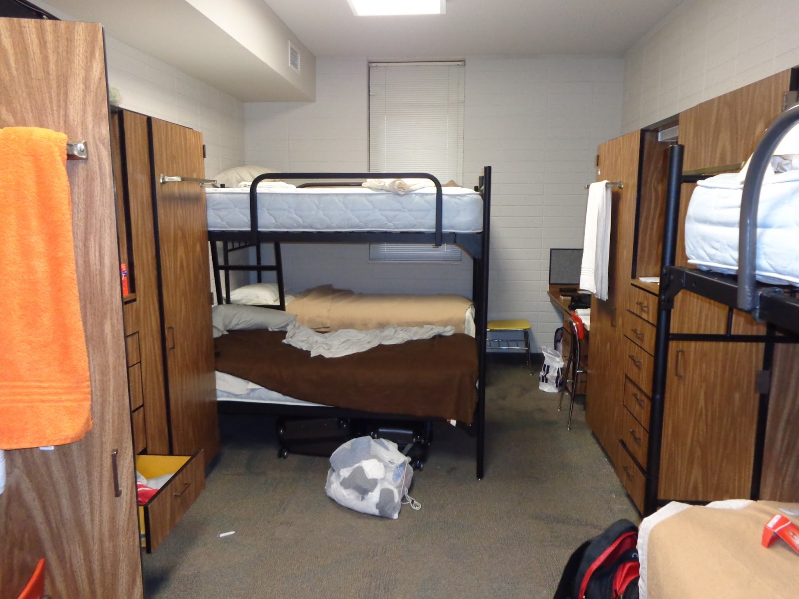 Anziano Dominic Orso: Anziano Orso's Letter - June 19, 2013