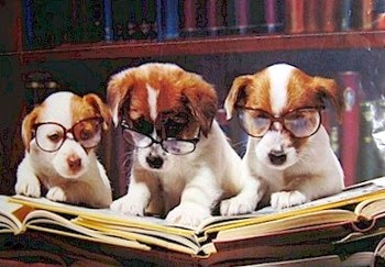 MI HOBBY ES LEER: Frases e imágenes literarias 16