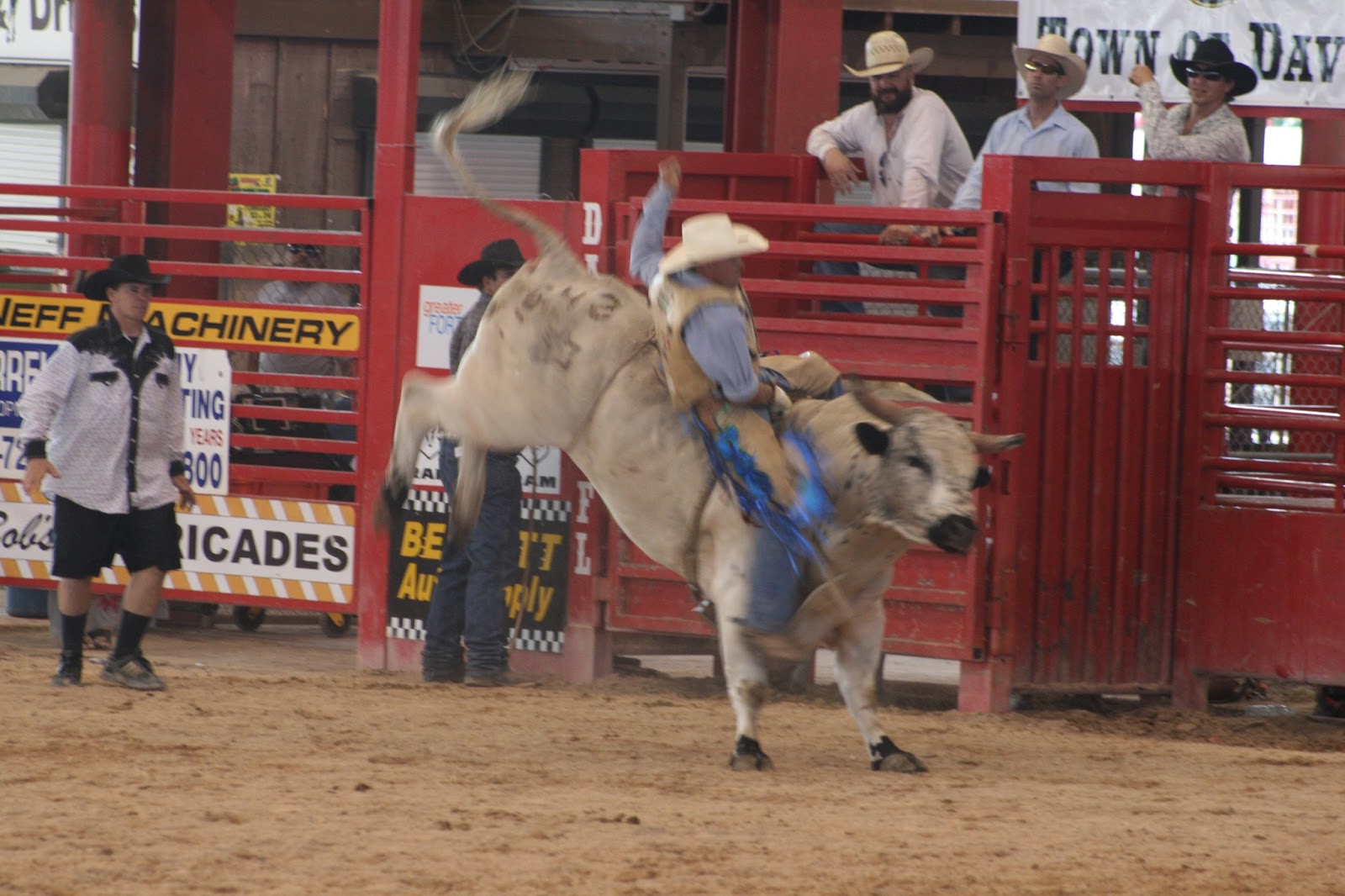 All the days of our lifes: Davie, FL Orange Blossom Festival & Rodeo