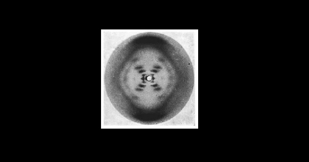 Você sabe o que é a fotografia 51?