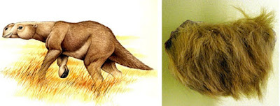 La antigua Biblos: En la Patagonia - Bruce Chatwin