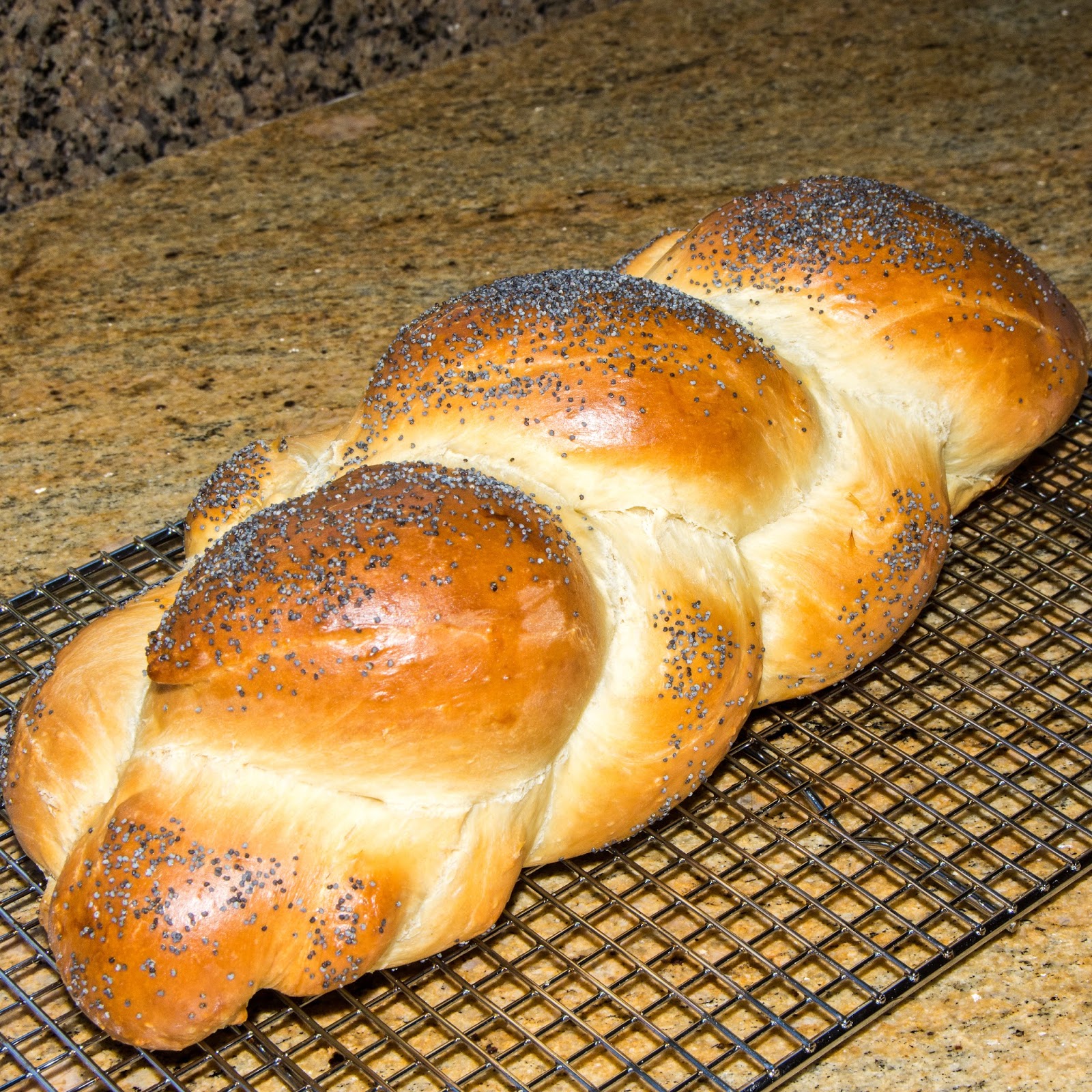 breadbasketcase: Challah with Biga