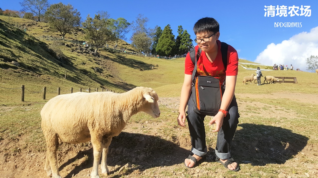 Taiwan 8D7N Free & Easy Tour - CingJing Farm (清境农场) | BPDGTravels ...