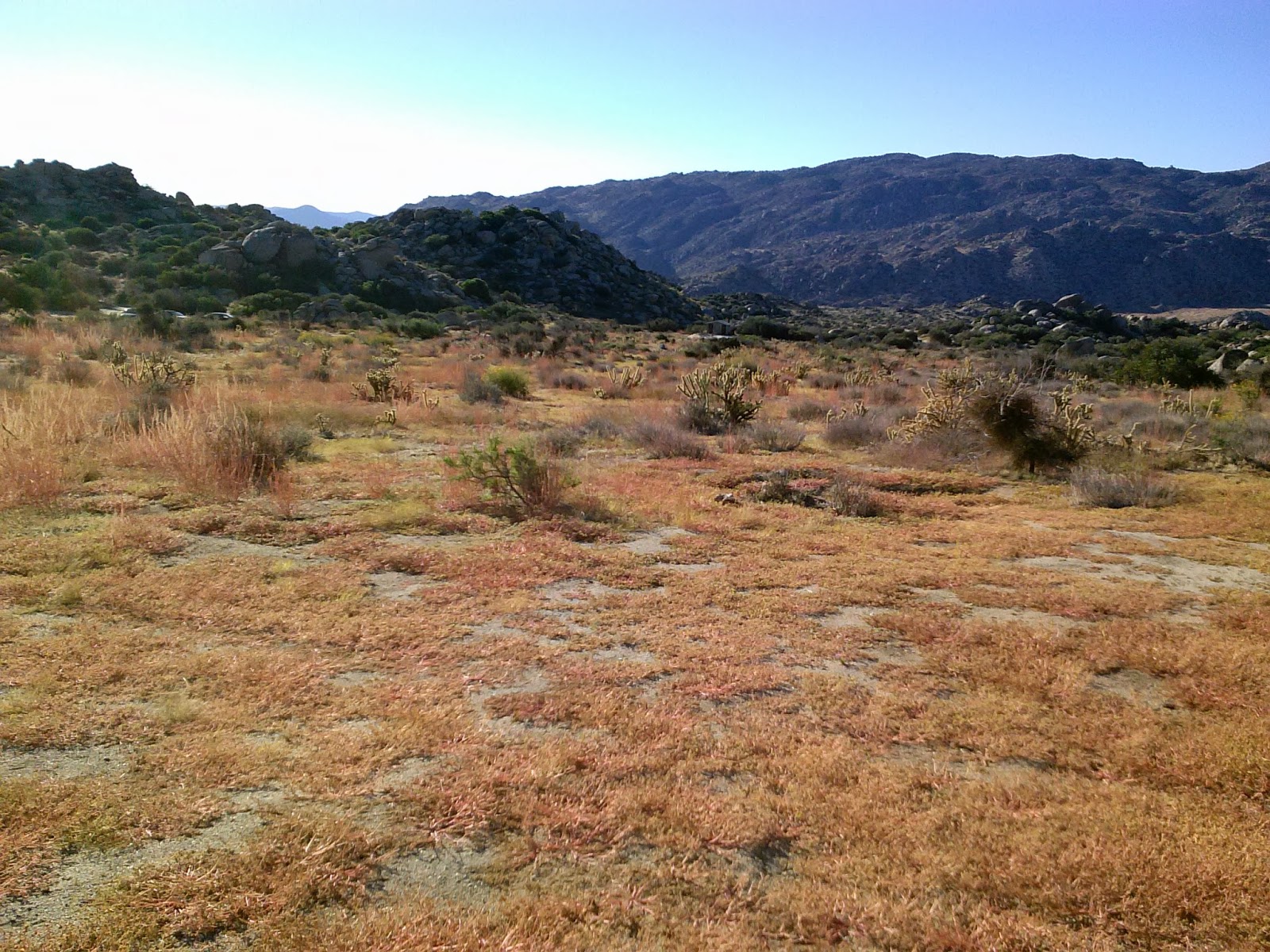 AdventureGraham: ABDSP: Culp Valley, Coyote Canyon, Kane Springs Road ...