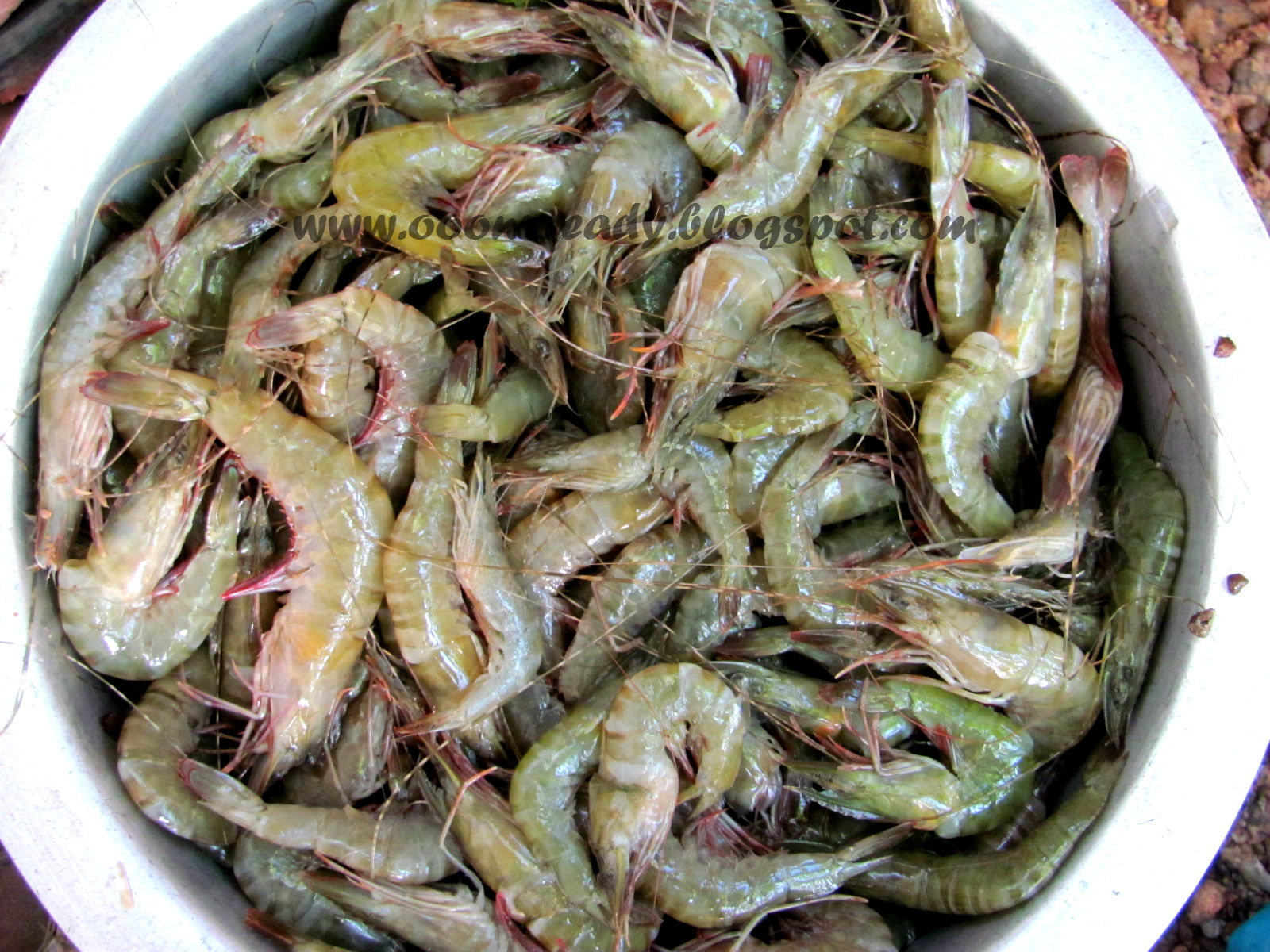Oonu ready: Prawns pickle