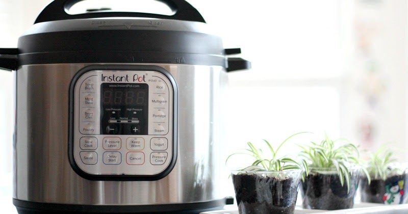 5 Times You'll Love Your Instant Pot (and One Time You Won't) | Sunny ...